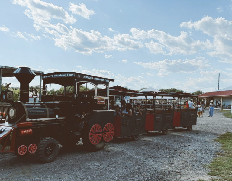 Pumpkin Festival | Johnson's Farm Produce-Hobart, IN