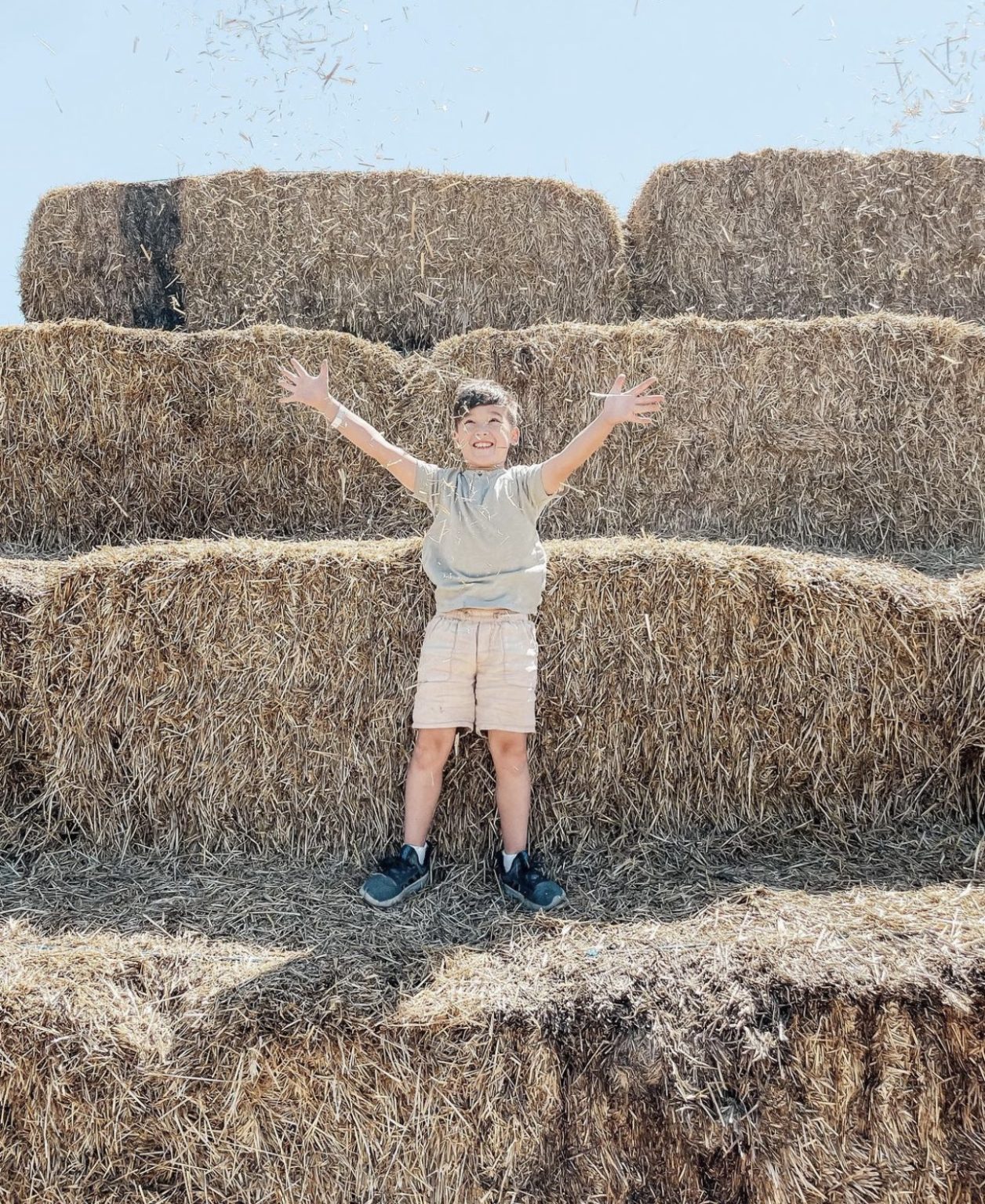 Blueberry Festivals | Johnson's Farm Produce-Hobart, IN